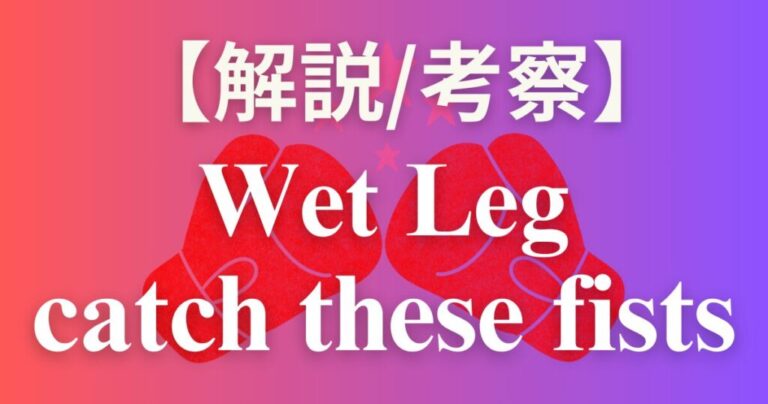 【解説/考察】Wet Leg(ウェット・レッグ)「catch these fists」 | ことばあさん